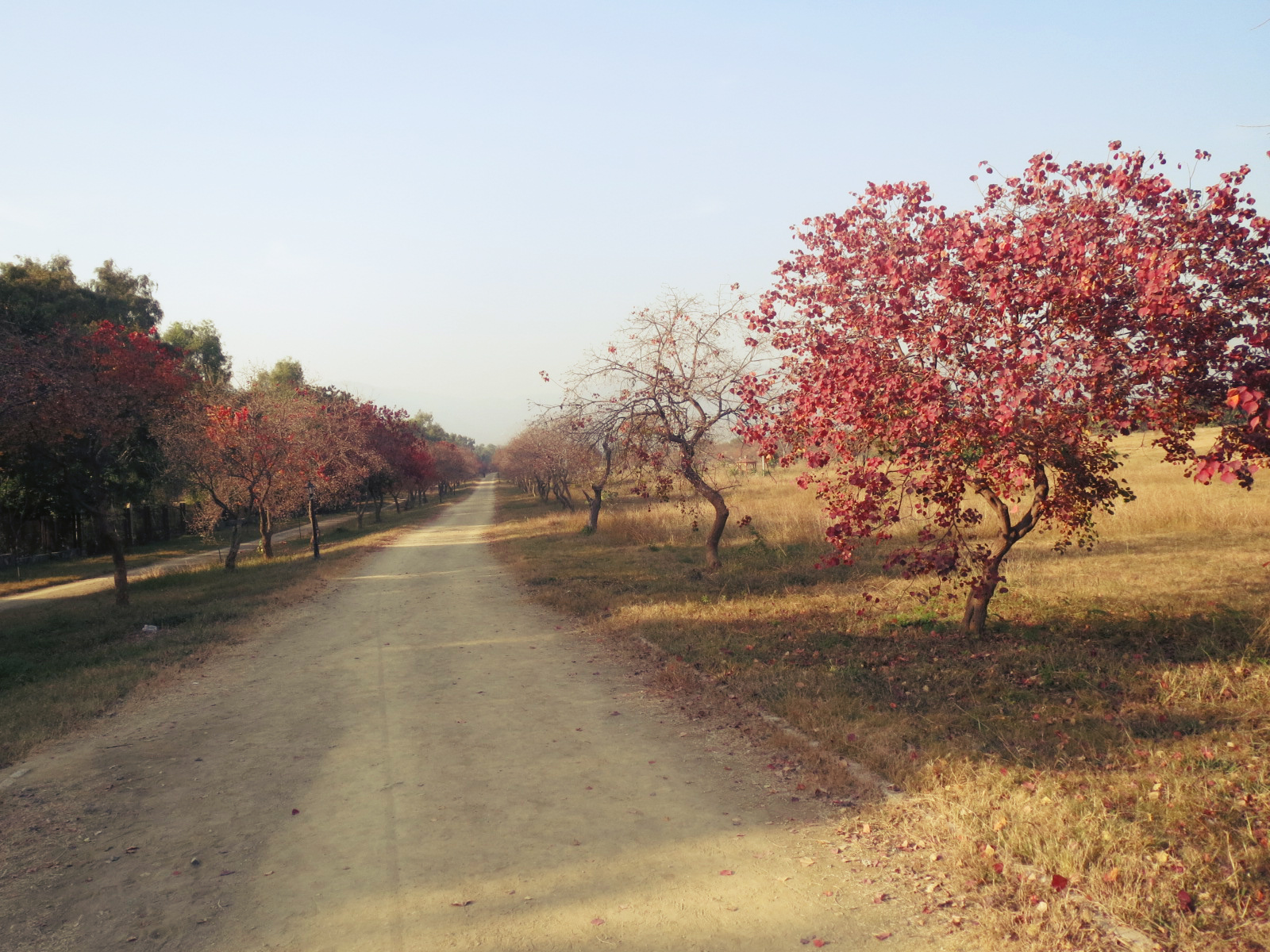 Nature and Parks - Islamabad Scene