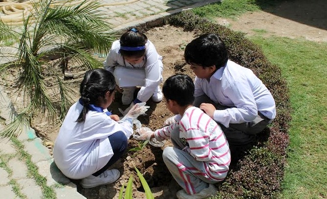 Pakistan celebrates Earth Day 2016 to pledge for a Green Future ...