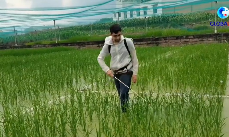 Pakistani student aims to strengthen China-Pakistan collaboration on ...