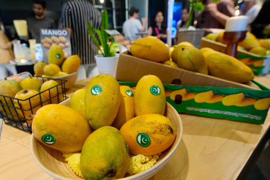 Pakistan cuts Mango export target by 30% amid Middle East crisis ...